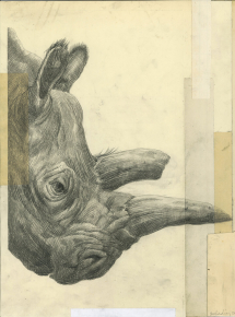 Drawings – Eiko Borcherding