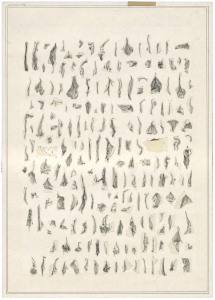 Drawings – Eiko Borcherding