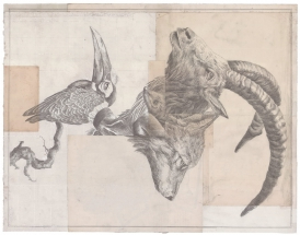 Drawings – Eiko Borcherding